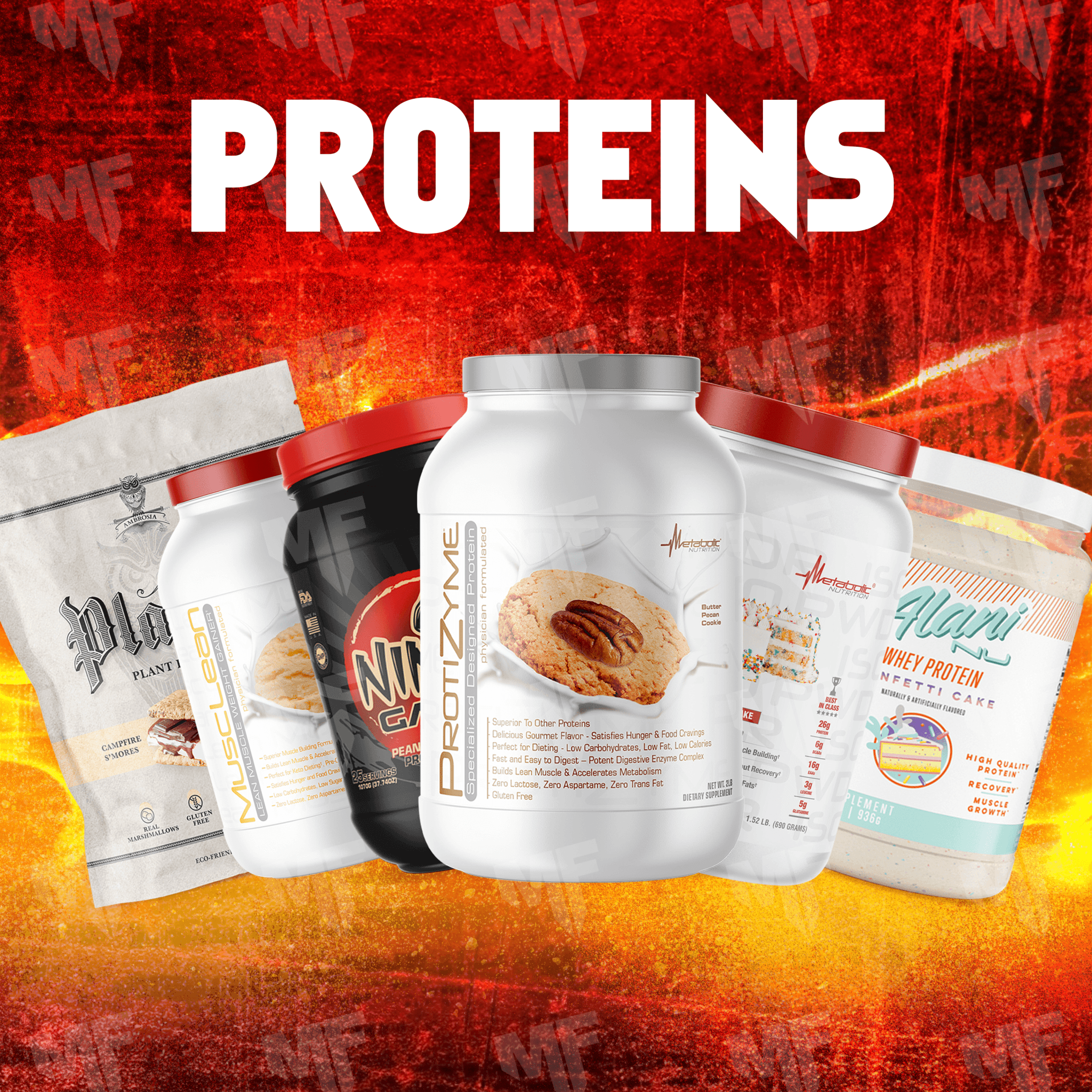 Proteins- MUSCLE FACTORY